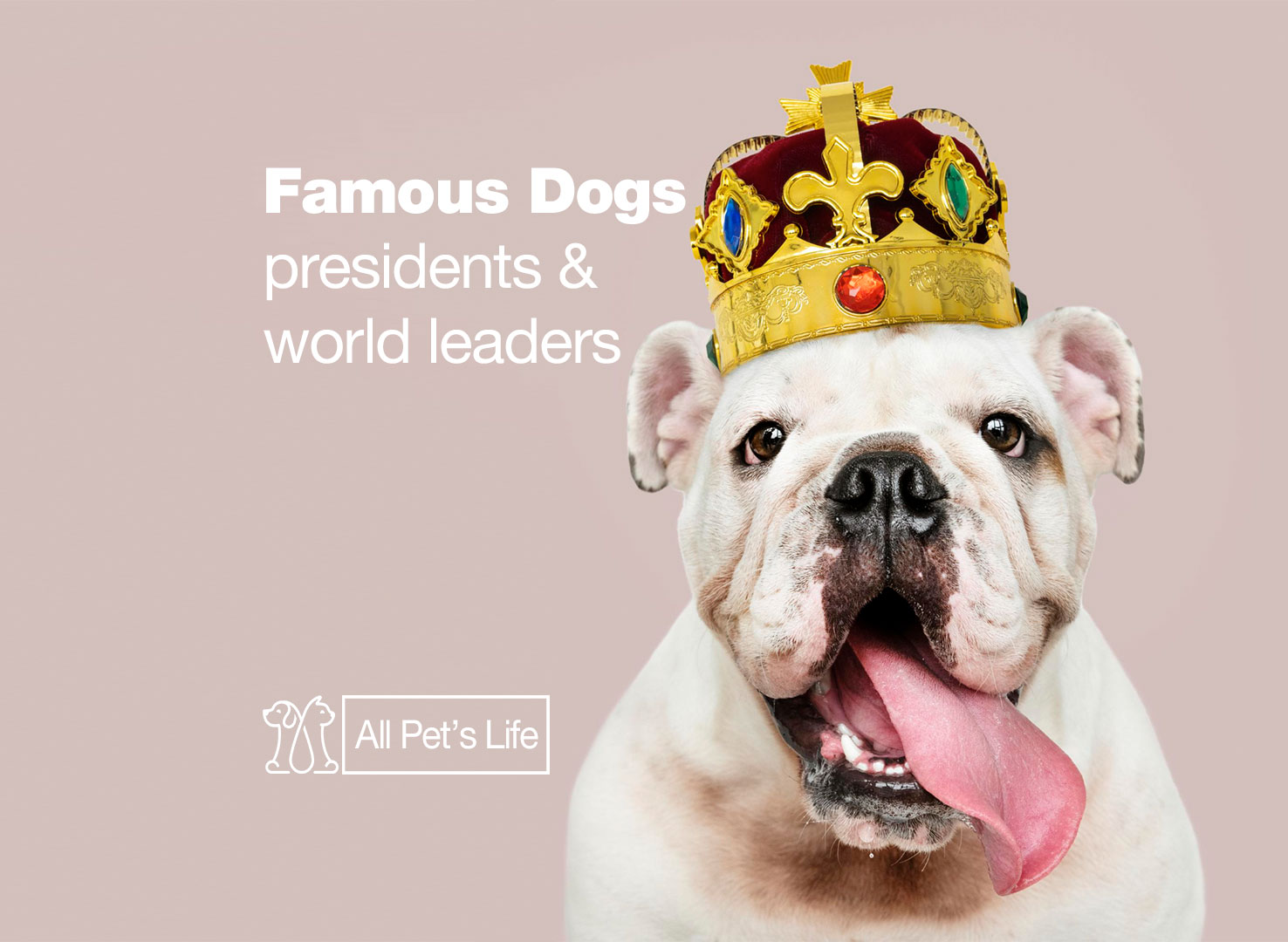 19 Famous Dogs: presidents + world leaders - All Pet's Life