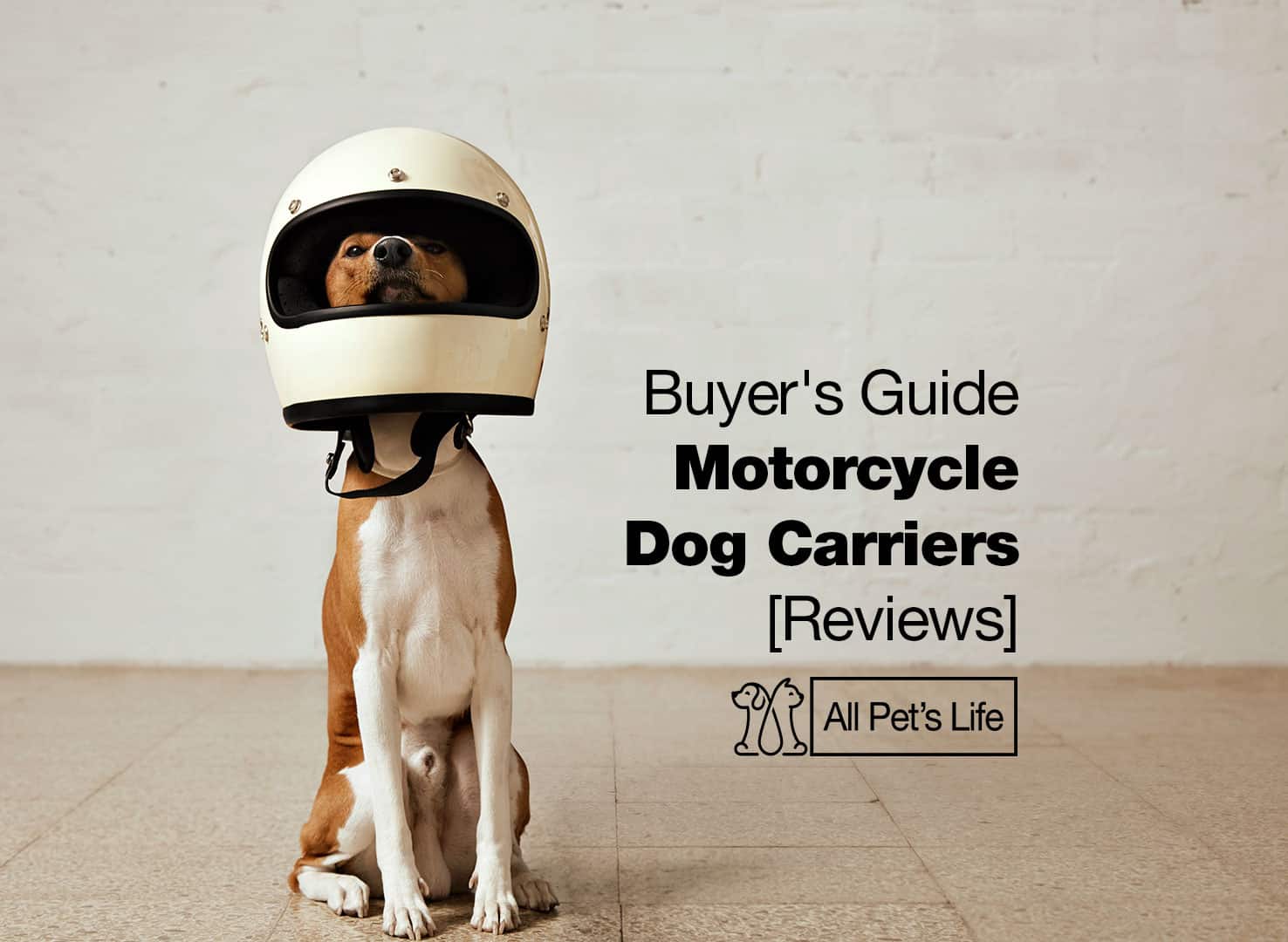 10 Motorcycle Dog Carrier Reviews [2021] - All Pet's Life