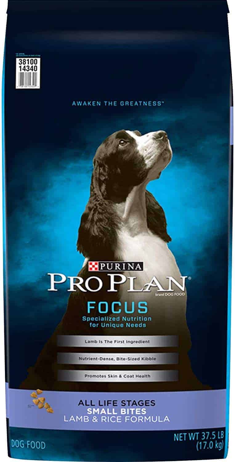 14 best lamb and rice dog food brands [2024] - All Pet's Life