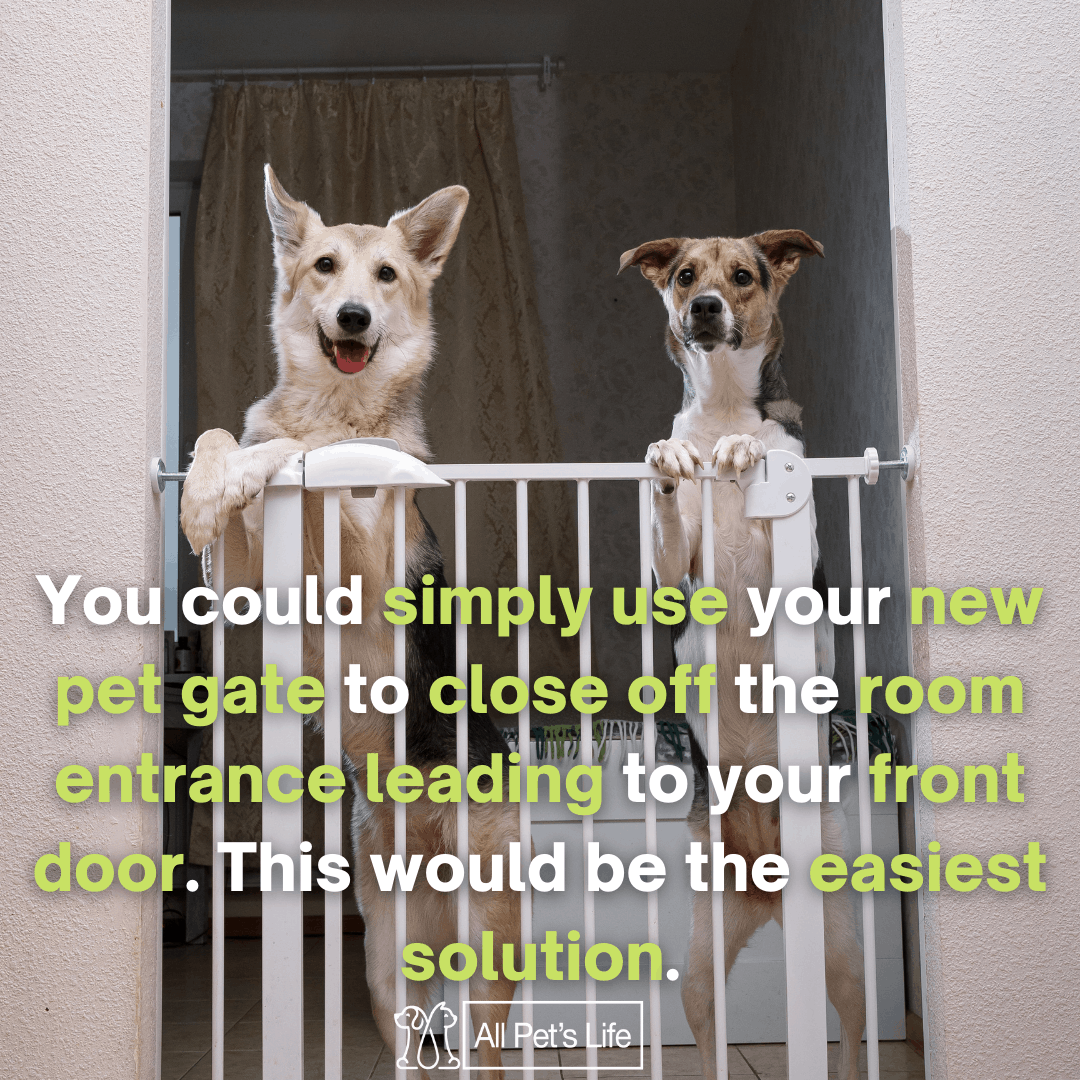 12 Best Retractable Dog Gate to Shut Off Areas 2021 [Reviews] - All Pet ...